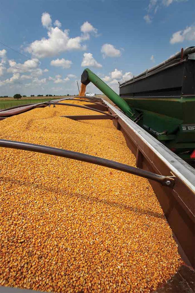 A Spirited Venture | AgTrust Farm Credit